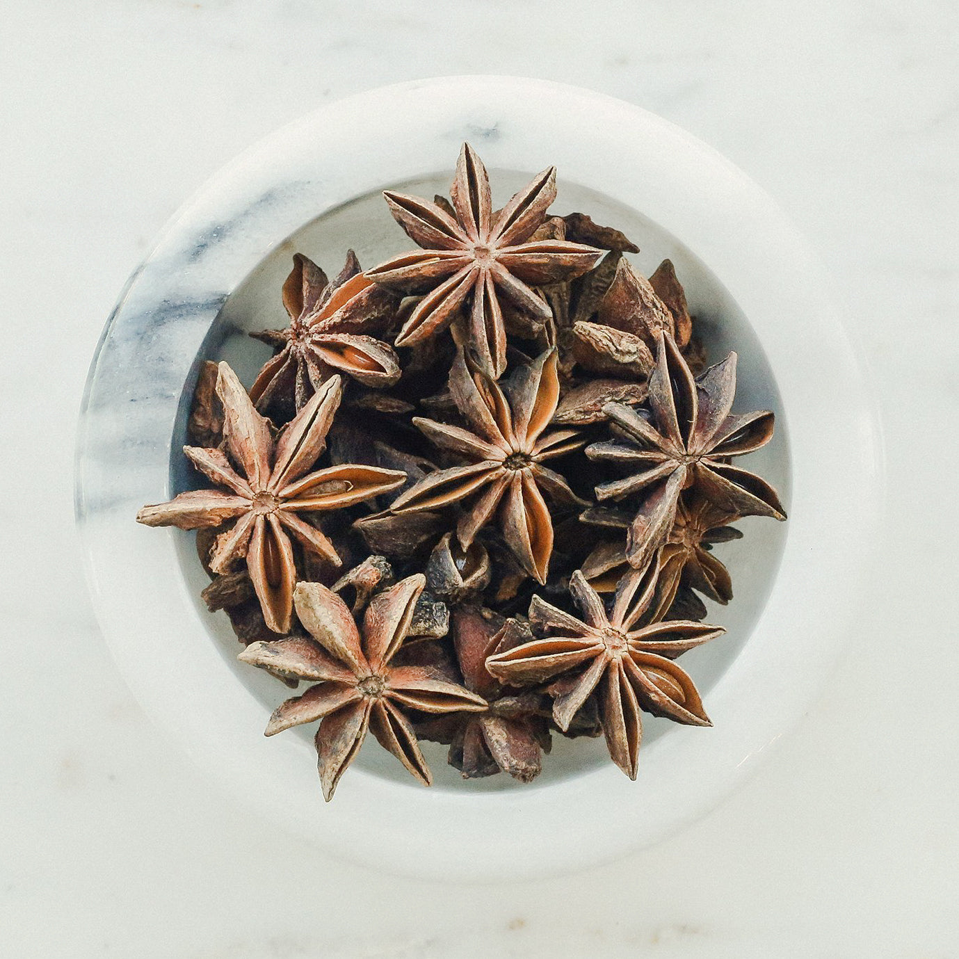 Anise Star Pods – Forest & Meadow Herbal Shop and Clinic