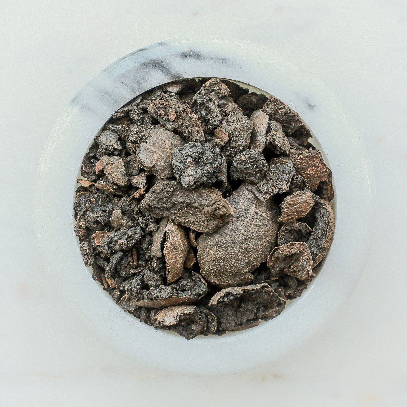 Black Walnut Hulls – Forest & Meadow Herbal Shop and Clinic